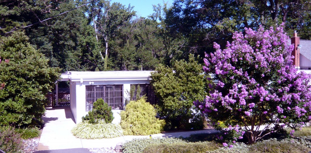 Osher Lifelong Learning Institute